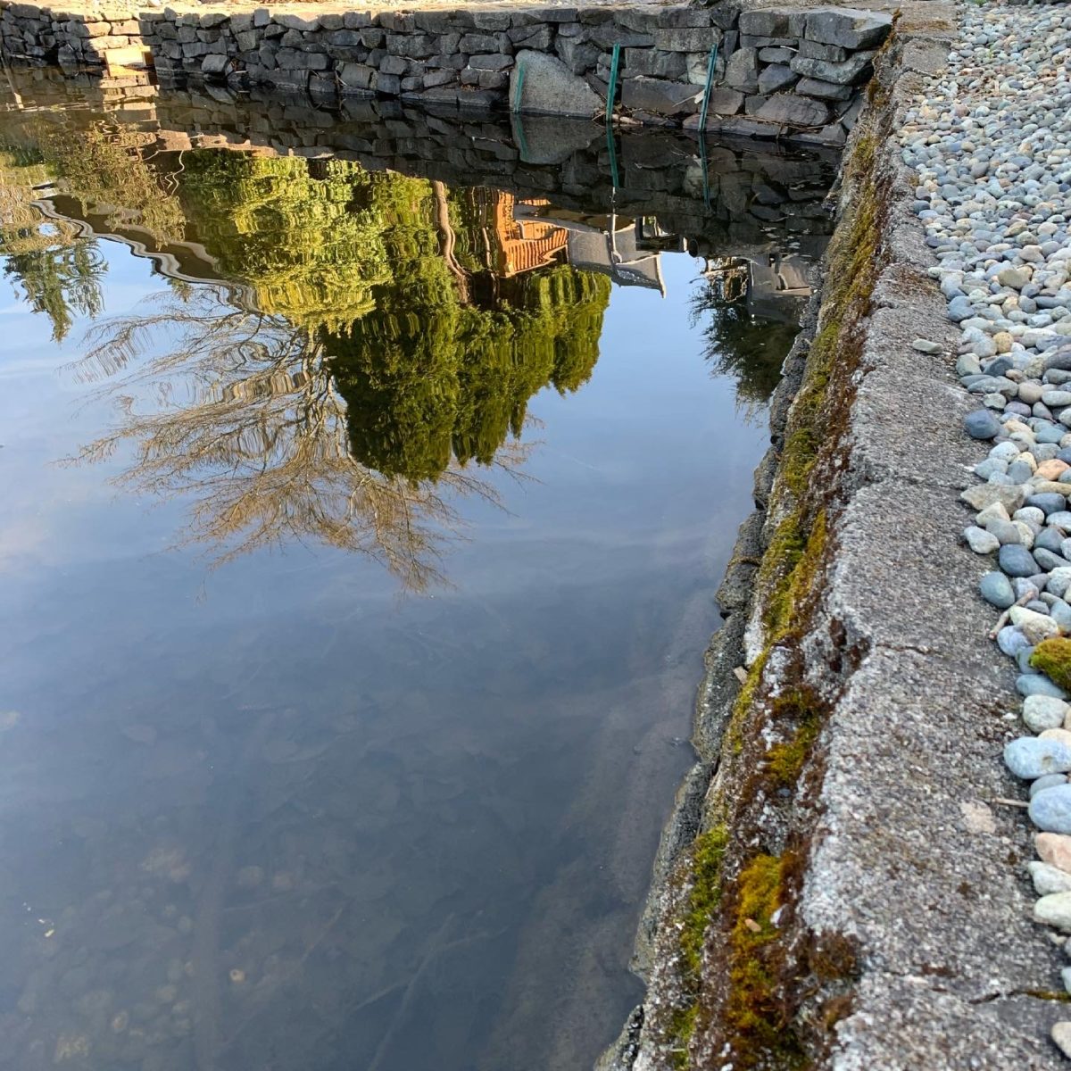 Bulkhead Transformation - Infinity Tree & Outdoor Services LLC