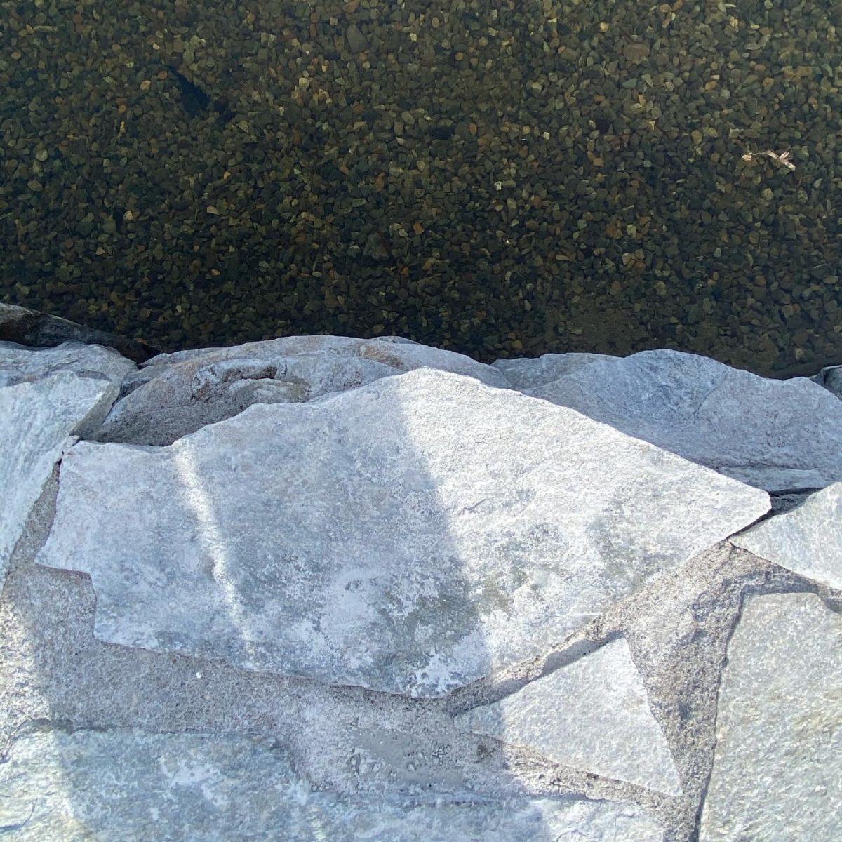 Bulkhead Transformation - Infinity Tree & Outdoor Services LLC