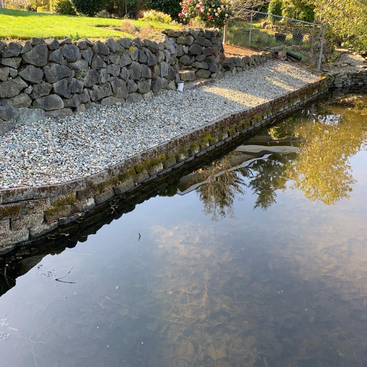 Bulkhead Transformation - Infinity Tree & Outdoor Services LLC