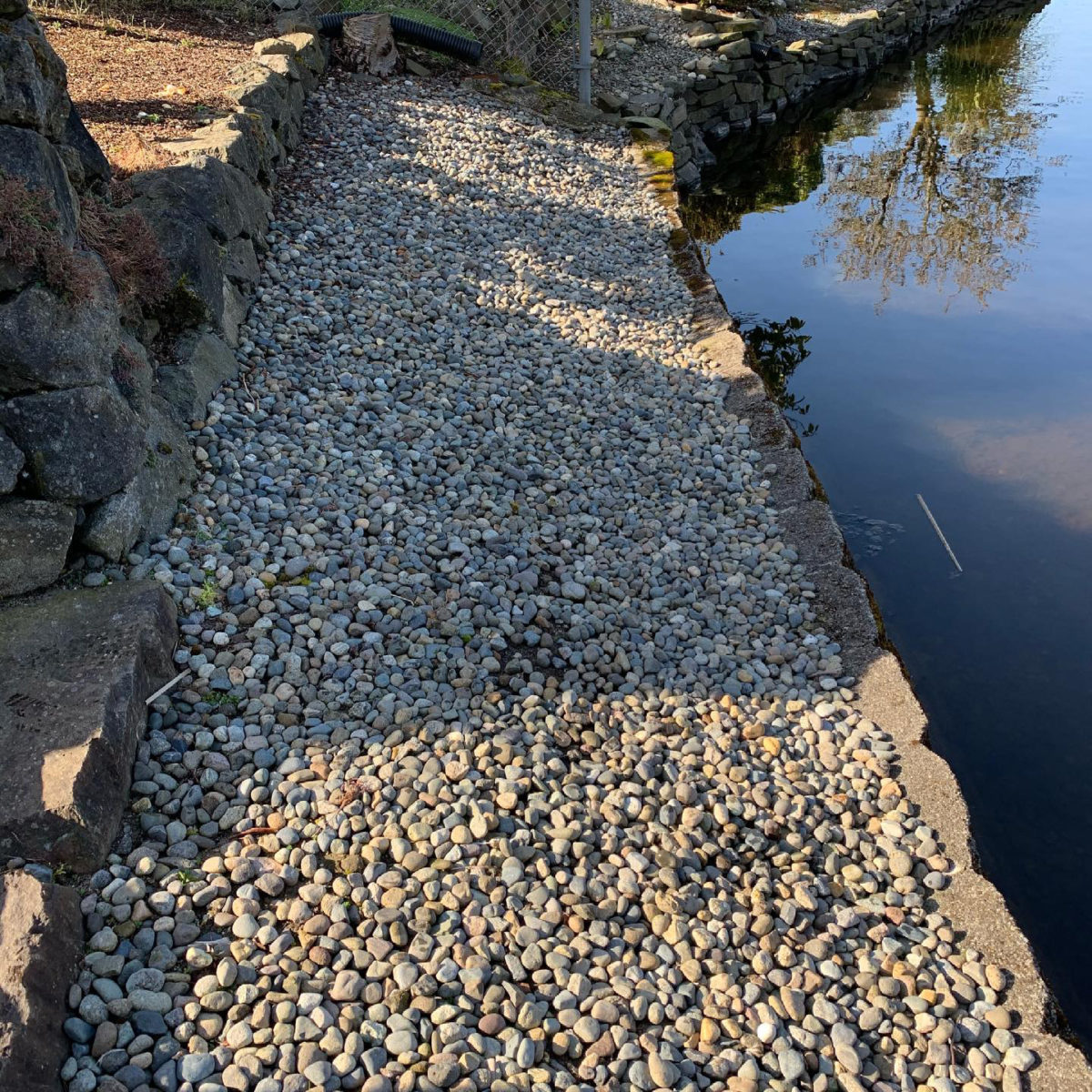 Bulkhead Transformation - Infinity Tree & Outdoor Services LLC