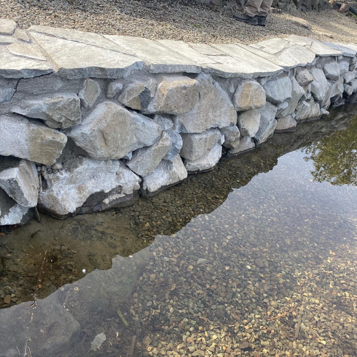 Bulkhead Transformation - Infinity Tree & Outdoor Services LLC