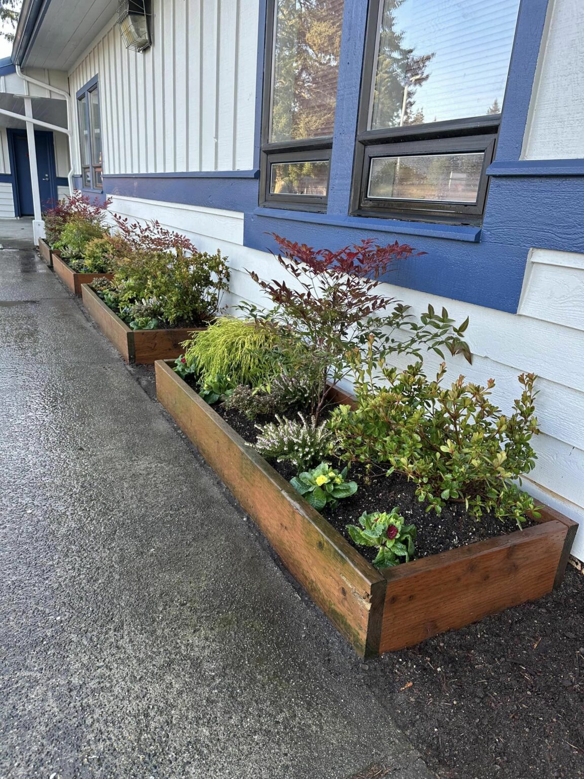 Home - Infinity Tree & Outdoor Services LLC