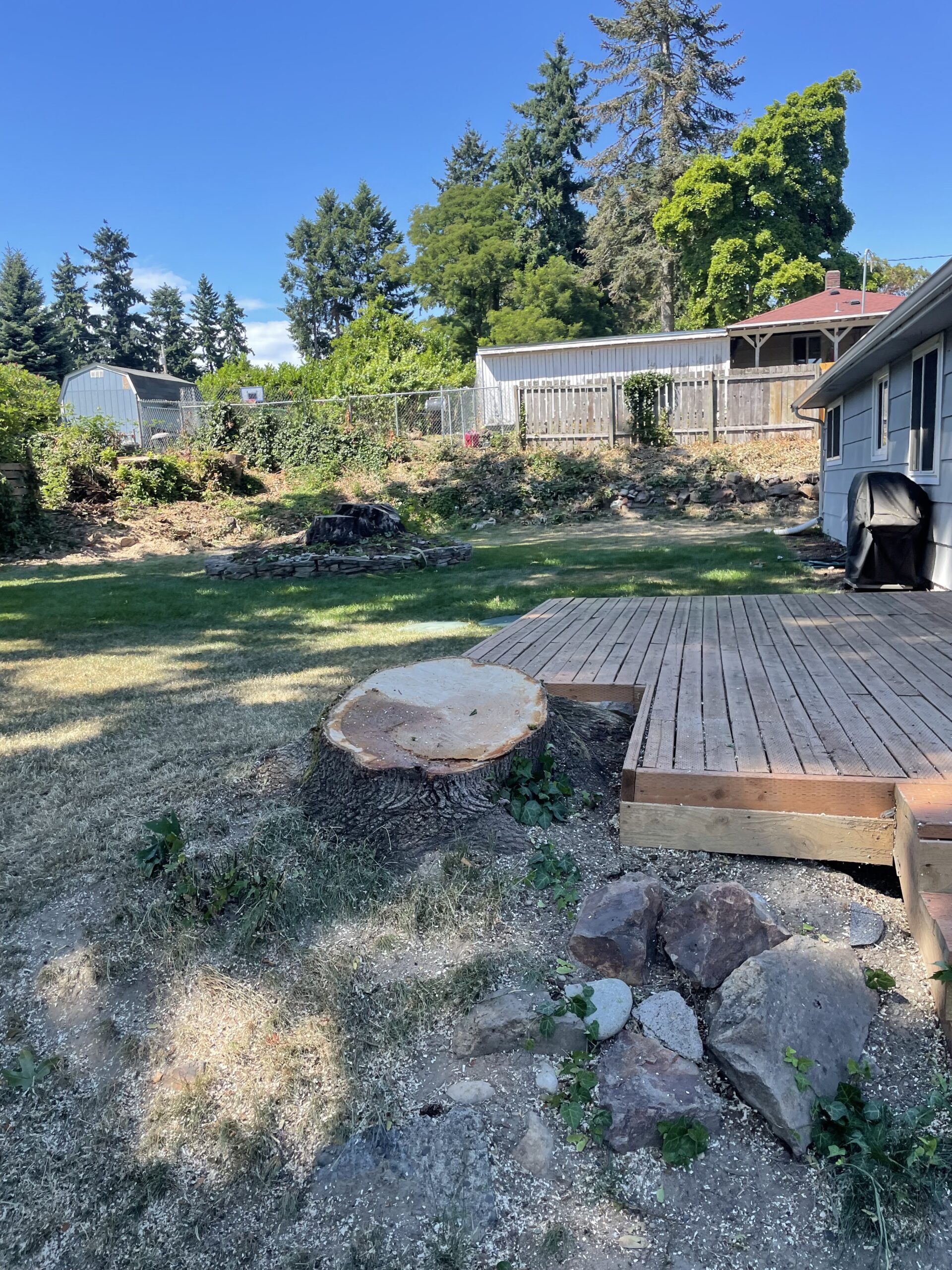 Home - Infinity Tree & Outdoor Services LLC